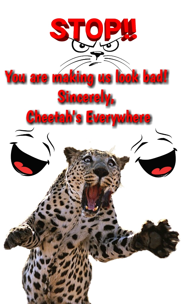 Laughing Leopard Memes